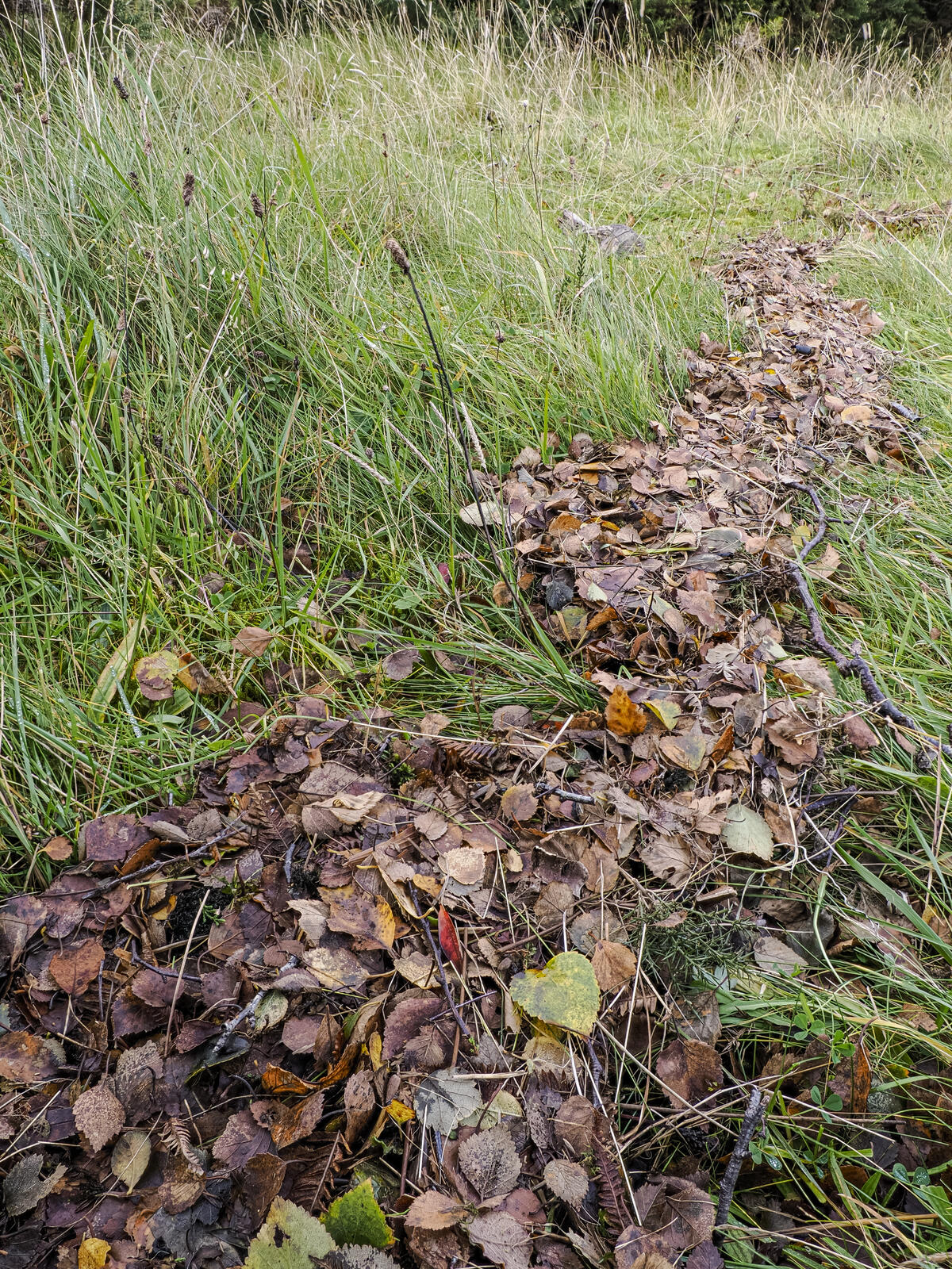 Pensioners Outing Pt. 1 - Olympus UK E-System User Group