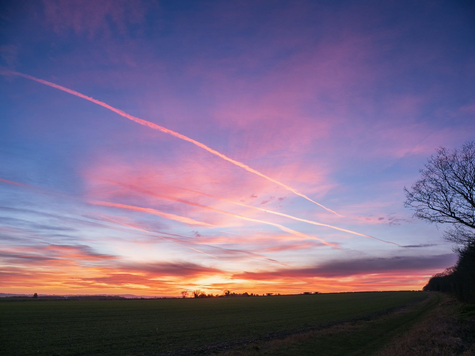 Grim's Ditch sunset - Olympus UK E-System User Group