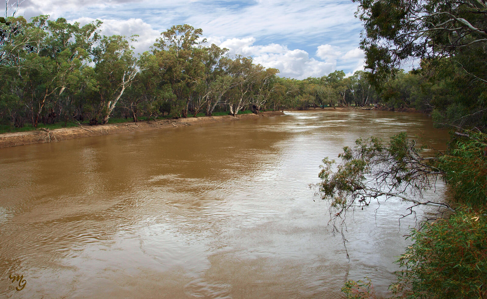 Big Brown River - Olympus UK E-System User Group