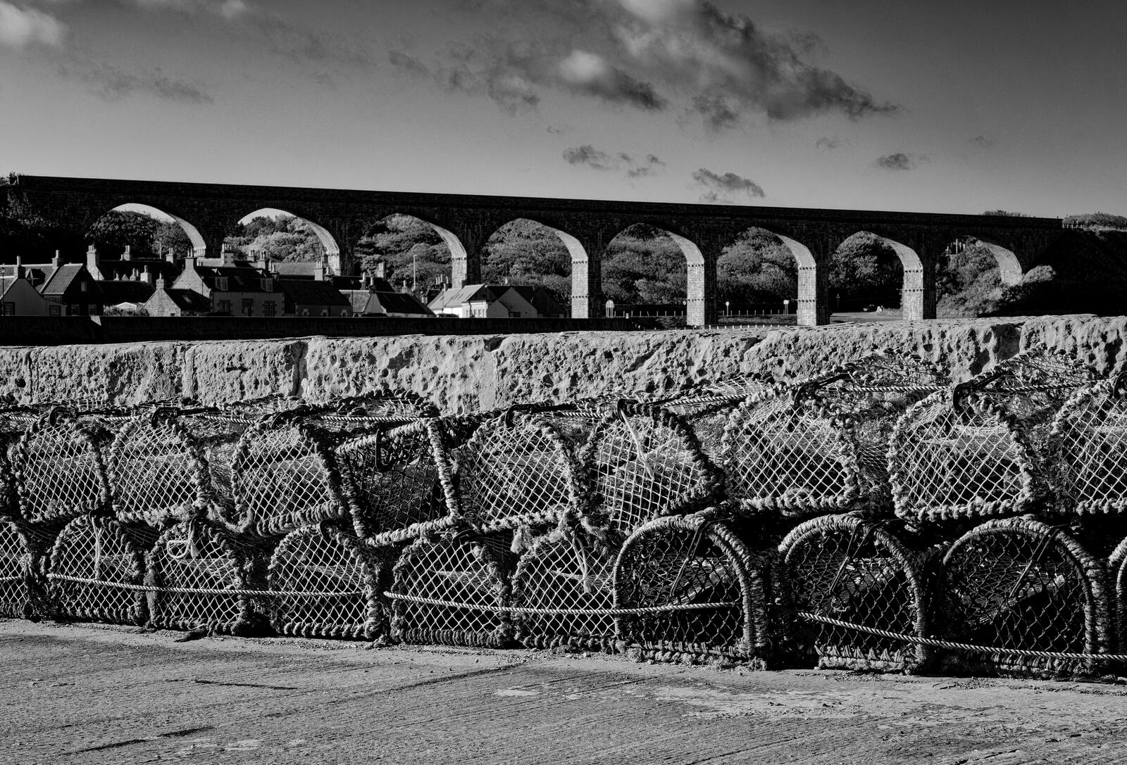 - Olympus UK E-System User Group