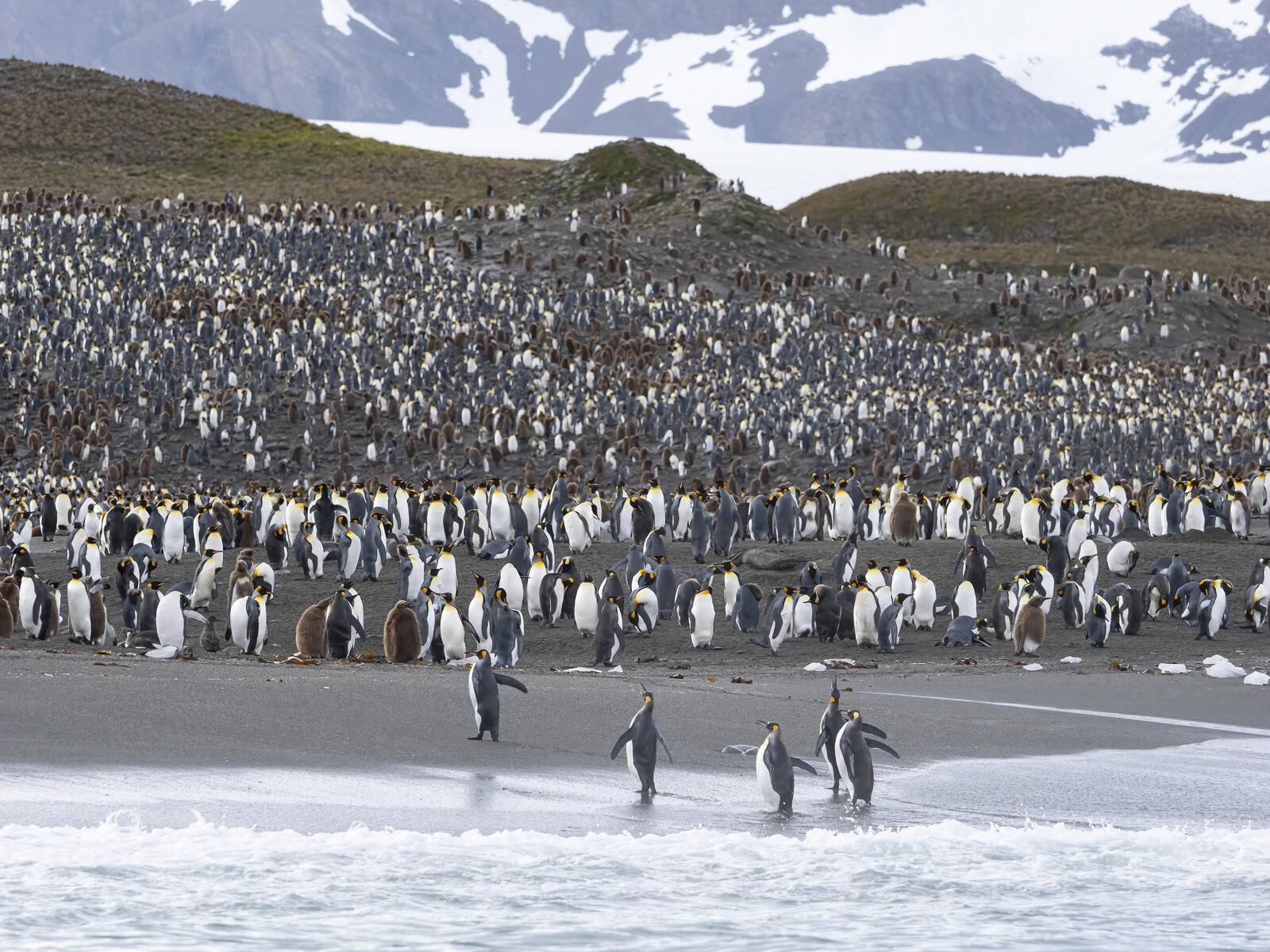 After Lunch, St. Andrews Bay - Olympus UK E-System User Group