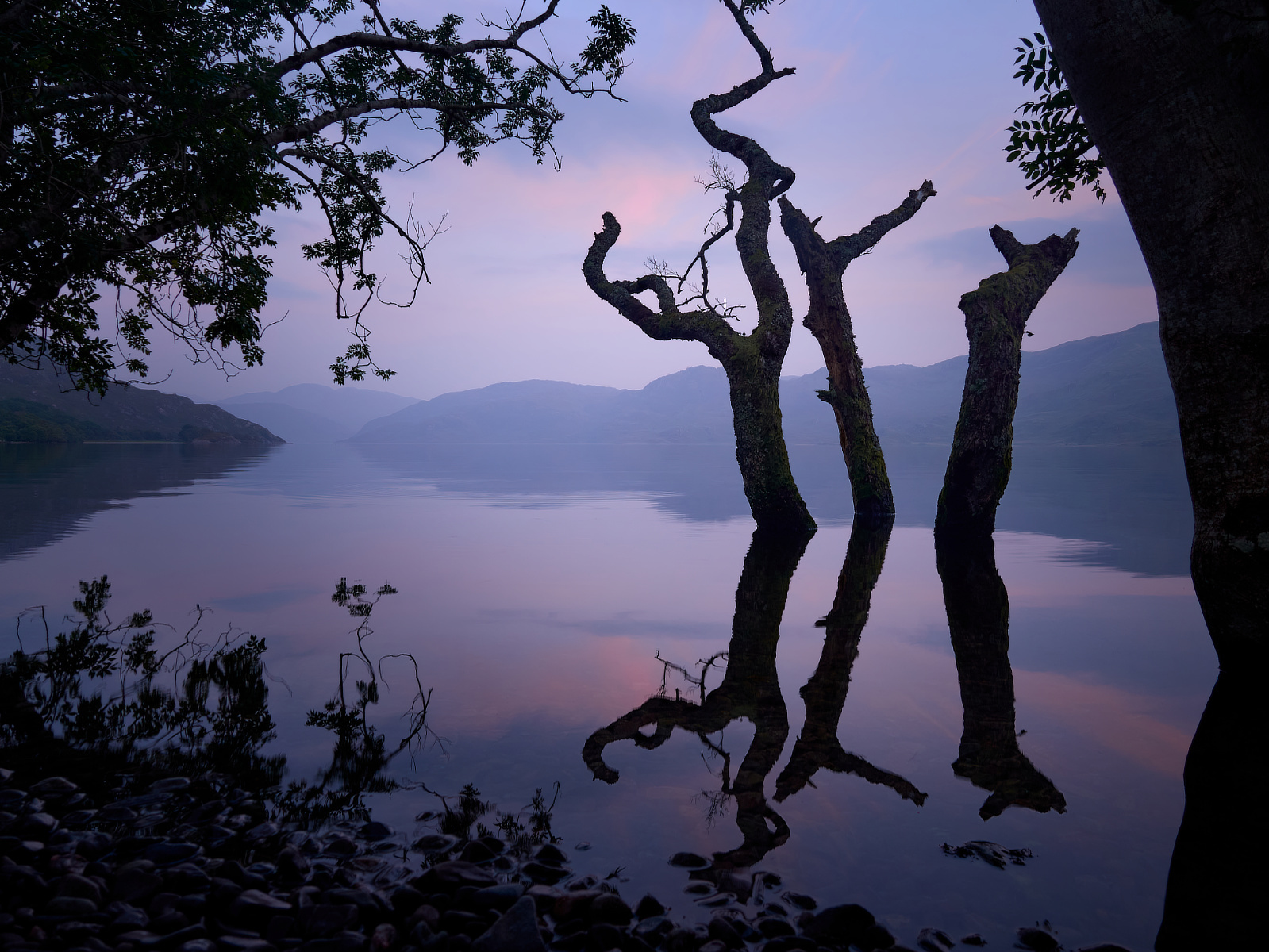 - Olympus UK E-System User Group