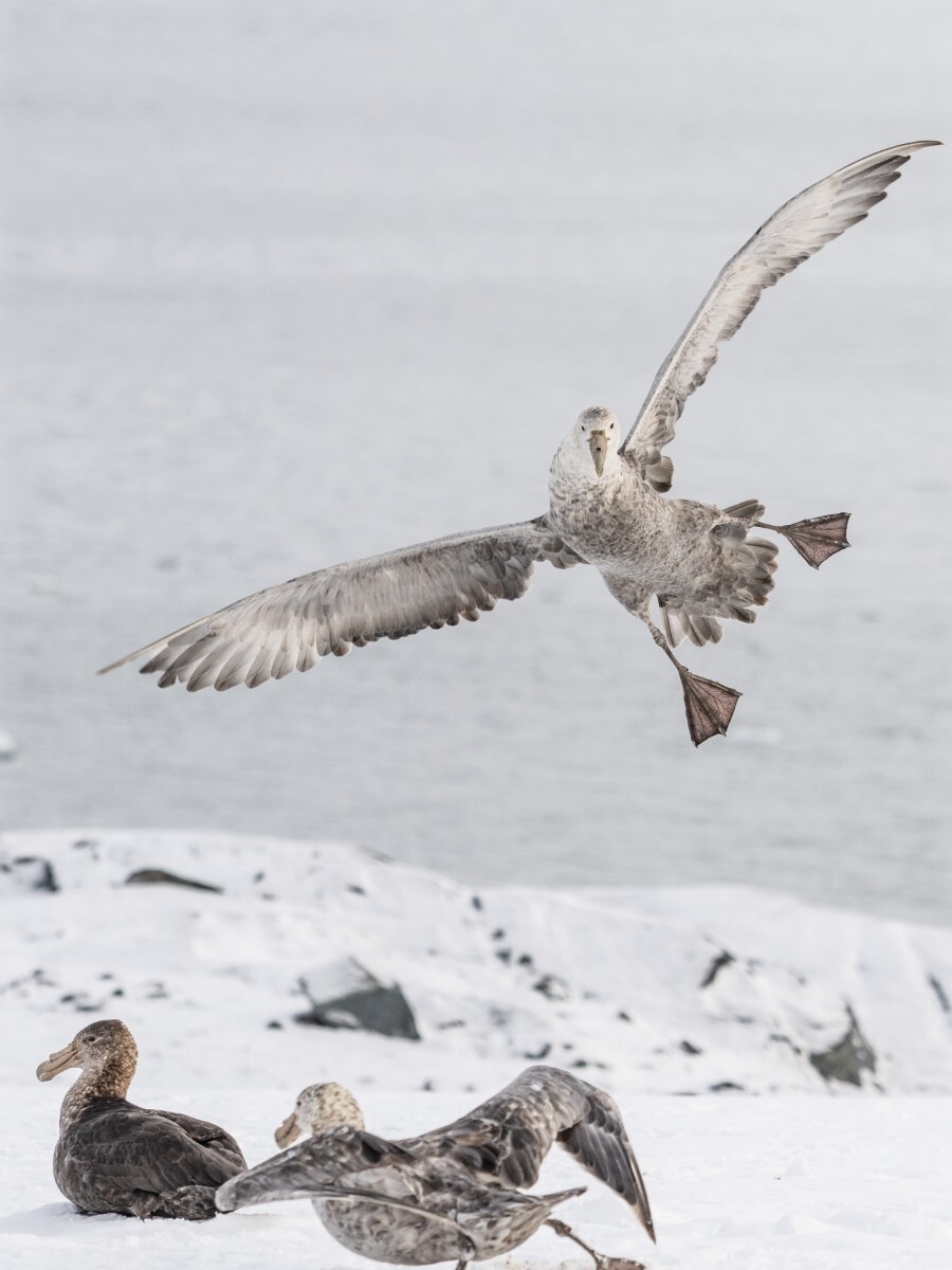 - Olympus UK E-System User Group